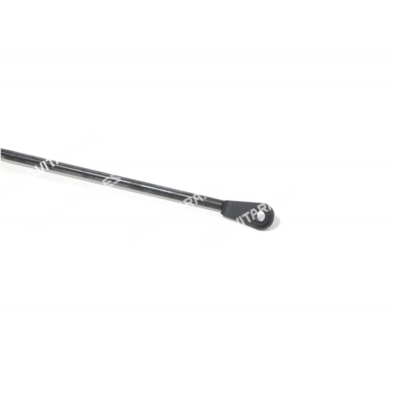 Muelle neumático porton trasero